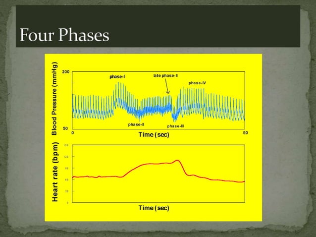 Autonomic function testing | PPTX | Heart and Cardiovascular Diseases ...