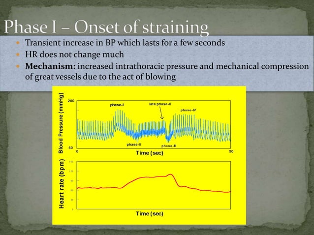 Autonomic function testing | PPTX | Heart and Cardiovascular Diseases ...