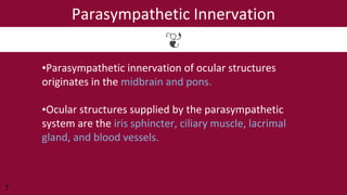 Autonomic innervation of ocular strucures and Pupillary reflexes | PPTX