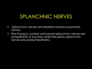 Autonomic nerves system | PPT