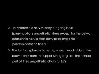 Autonomic nerves system | PPT