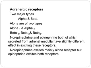 Autonomic nervous | PPTX