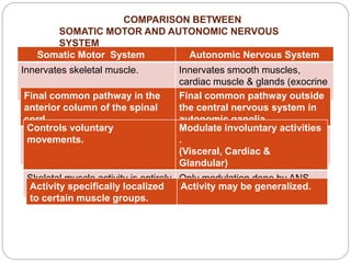 Autonomic nervous | PPTX | Brain and Nervous System Disorders ...