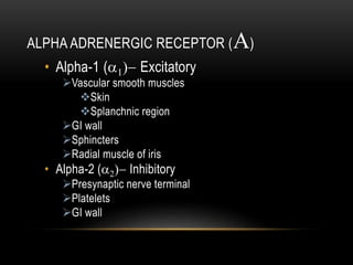 Autonomic nervous system 1 | PPT