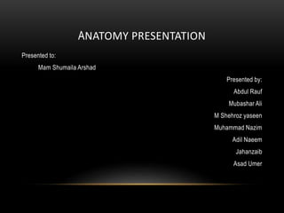 Autonomic nervous system 1 | PPT
