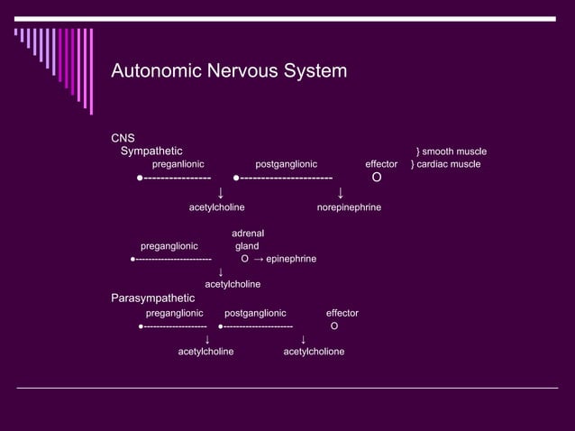 Autonomic nervous system - pharmacology | PPT