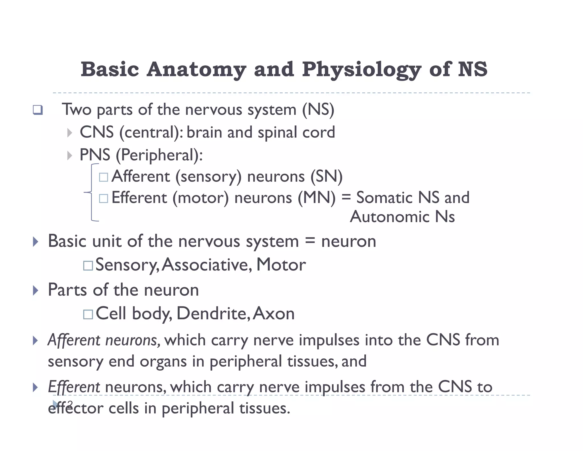 Autonomic nervous system ( by Dr. Takele Beyene,DVM,MSc,@AAU) | PDF