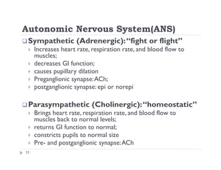 Autonomic nervous system ( by Dr. Takele Beyene,DVM,MSc,@AAU) | PDF