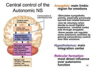 Hypothalamus Autonomic Control By