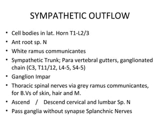Autonomic nervous system | PPT