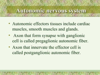 Pharmacology of the Autonomic nervous system | PPT