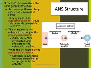 Autonomic nervous system/cosmetic dentistry courses | PPT