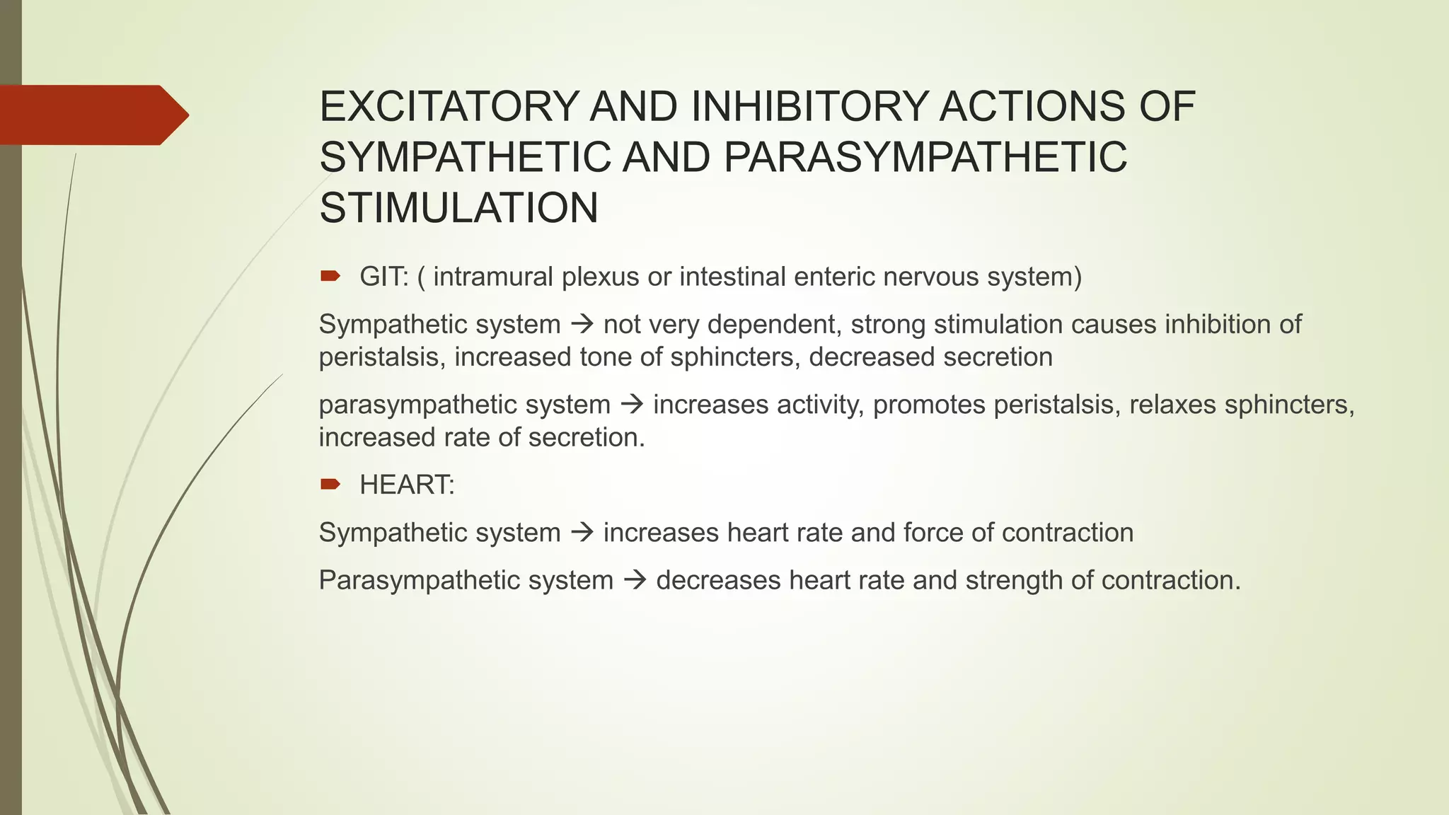 Autonomic nervous system | PPTX