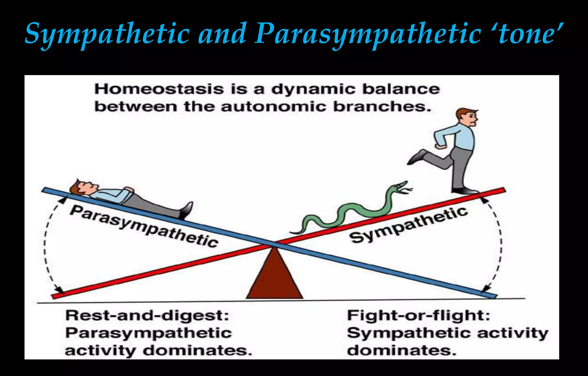 Autonomic nervous system | PPTX