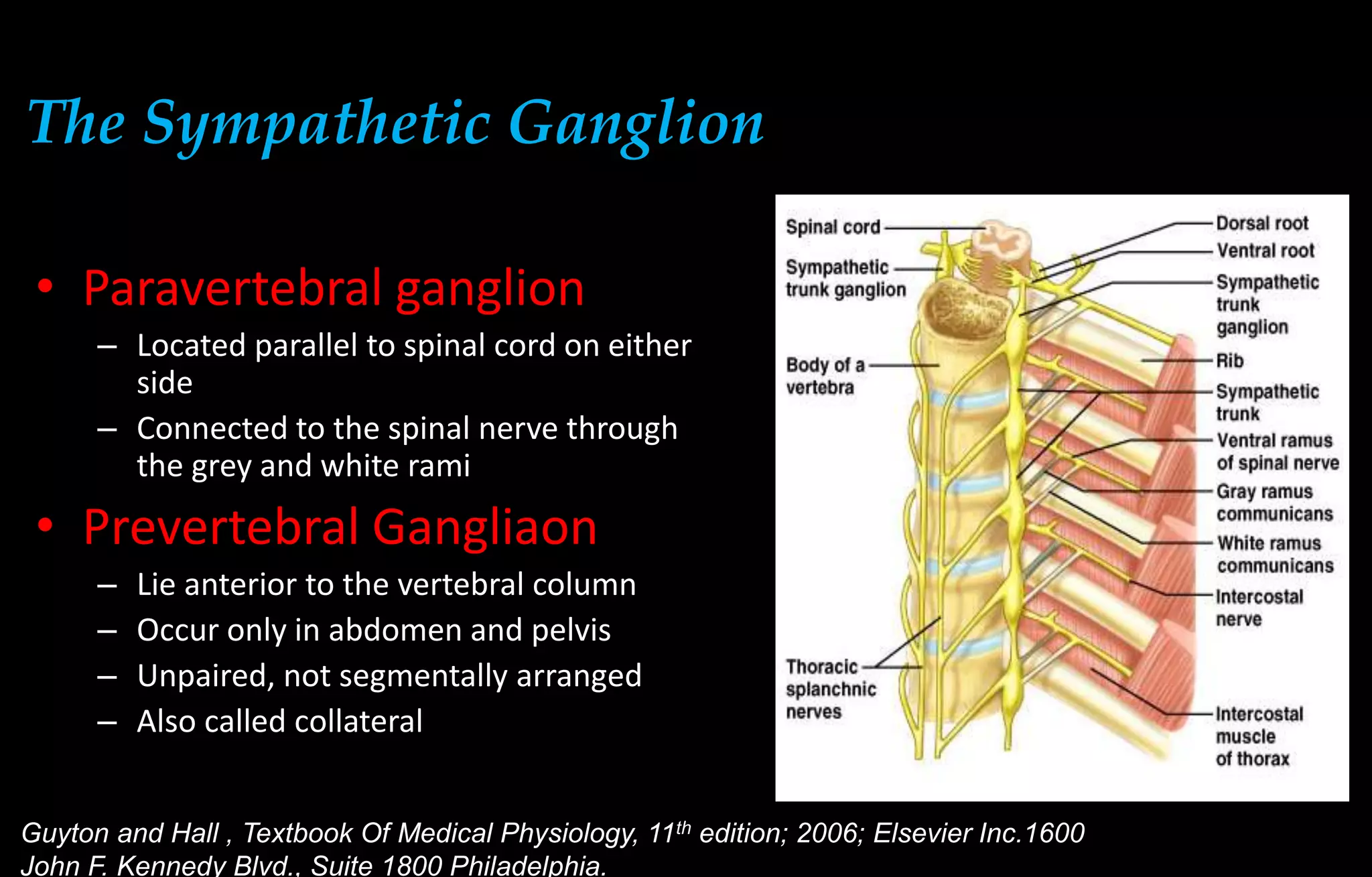 Autonomic nervous system | PPTX