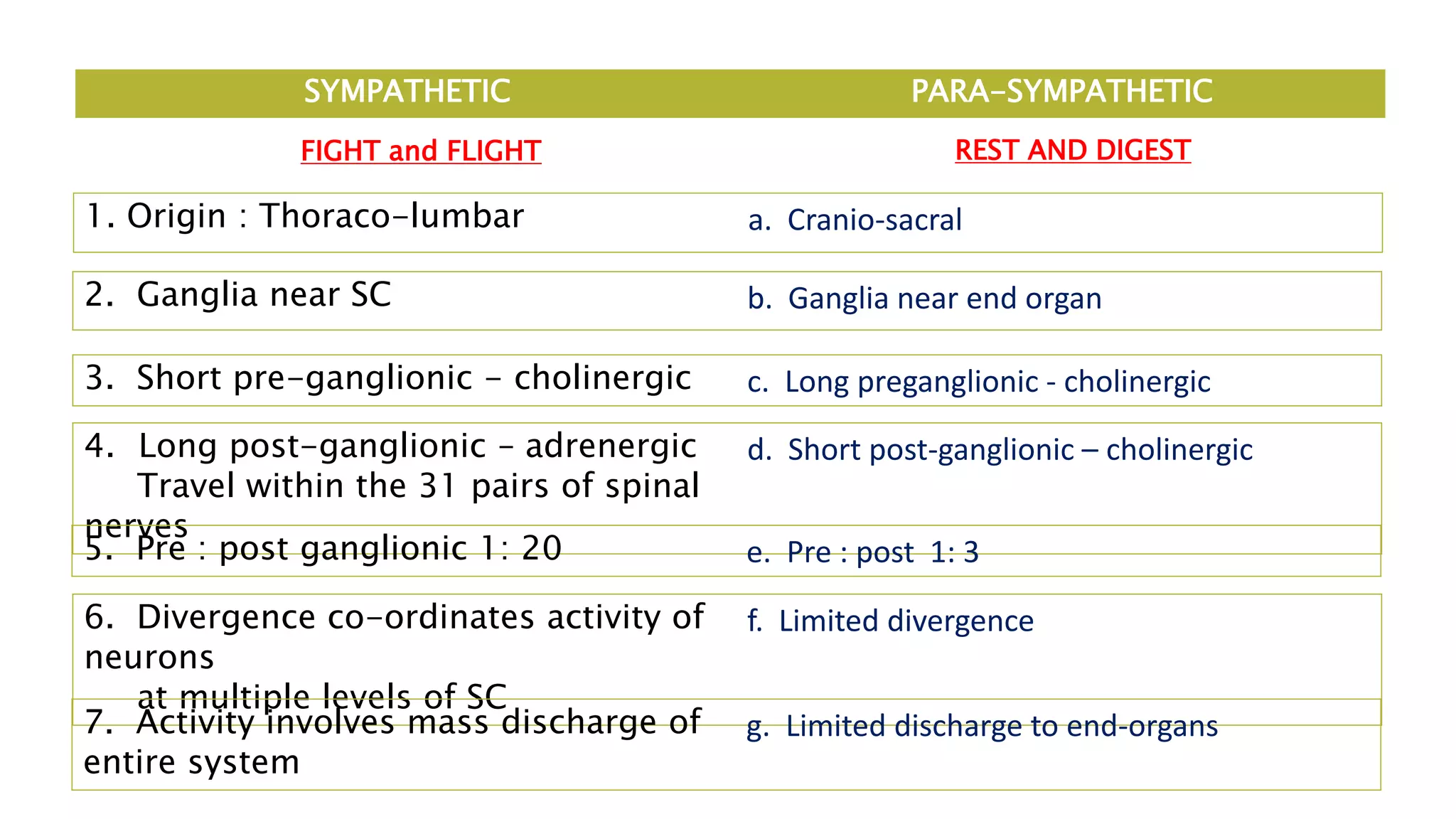 Autonomic nervous system - Sympathetic and Parasympathetic NS | PPTX
