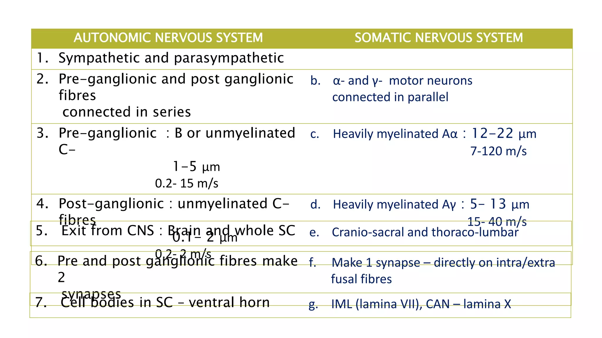 Autonomic nervous system - Sympathetic and Parasympathetic NS | PPTX ...