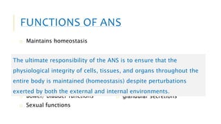 Autonomic nervous system - Sympathetic and Parasympathetic NS | PPT