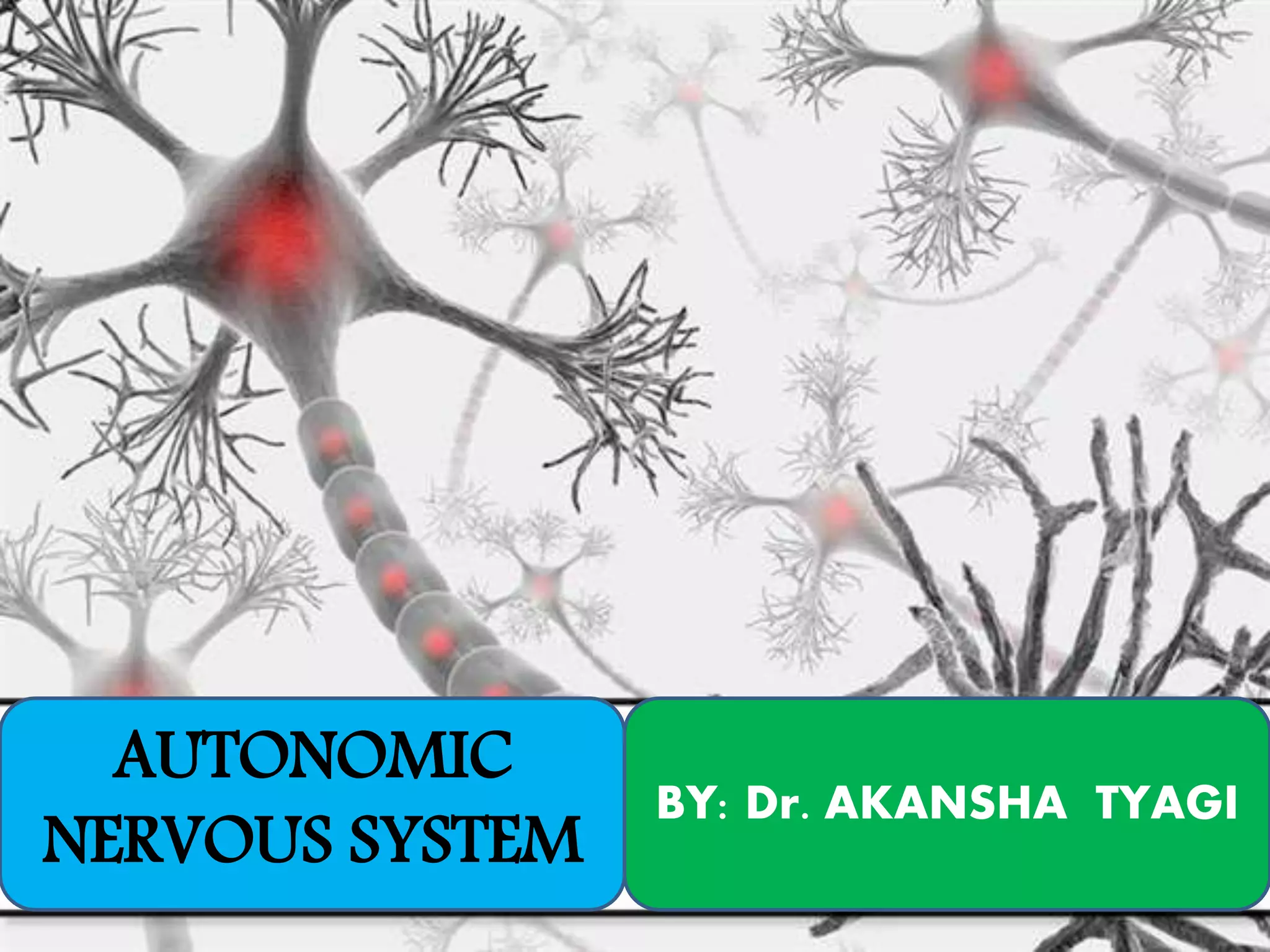 Autonomic nervous system | PPT