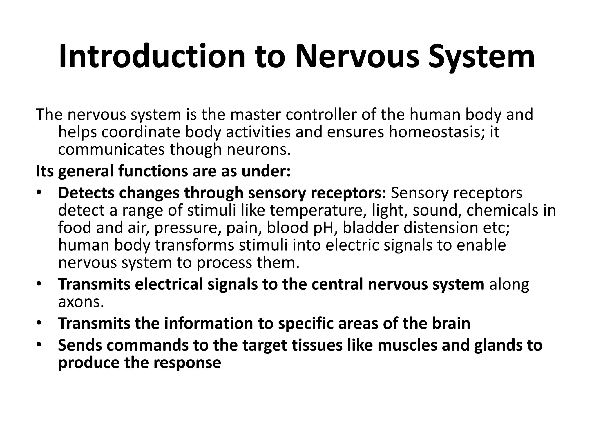 Autonomic nervous system | PPTX