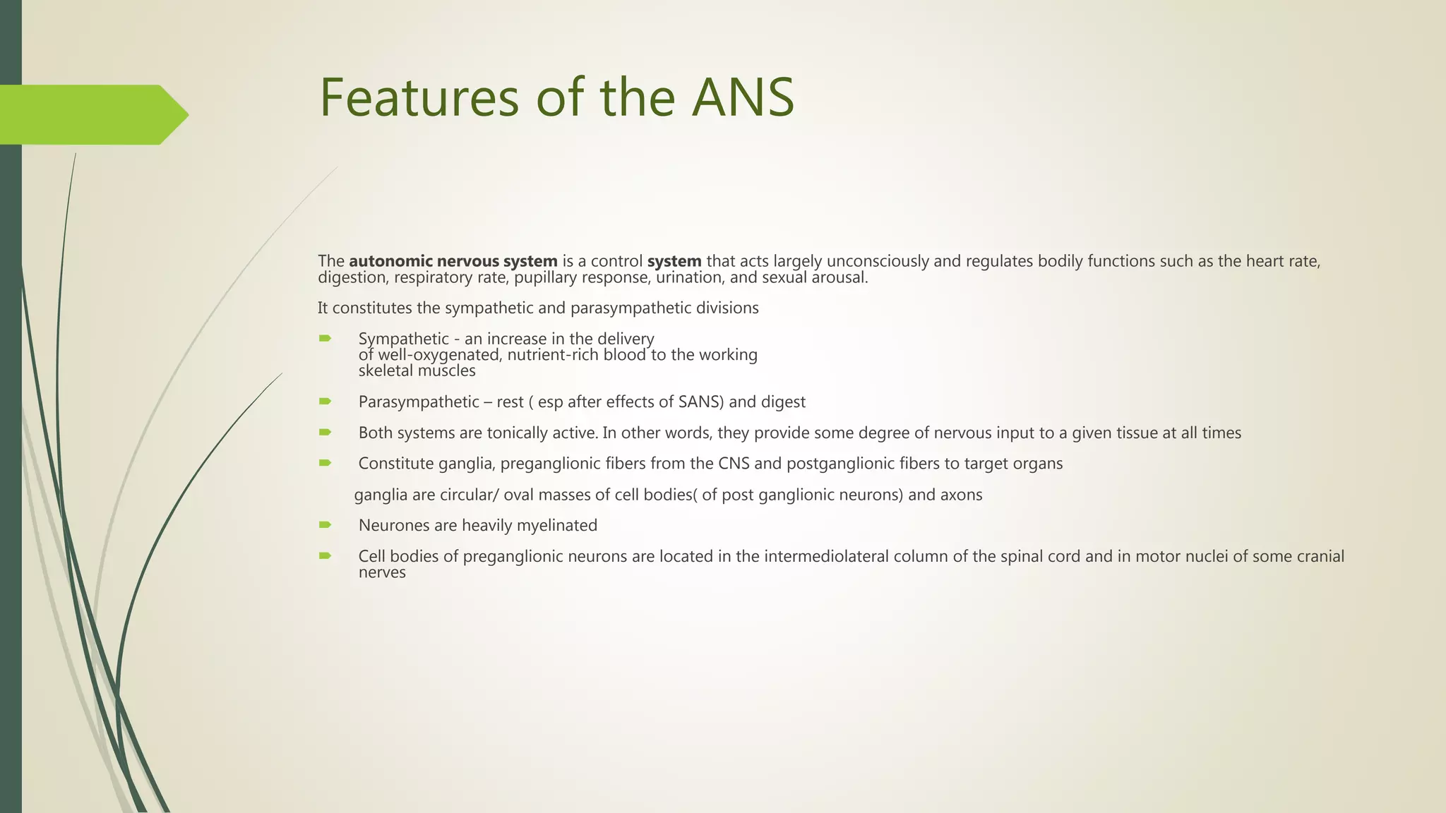 Autonomic nervous system | PPTX