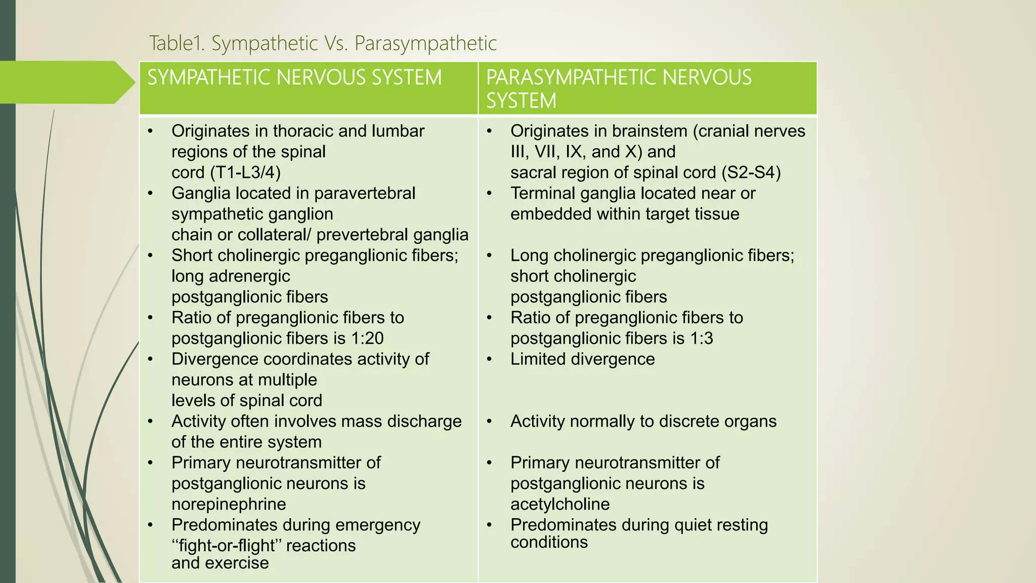 Autonomic nervous system | PPTX