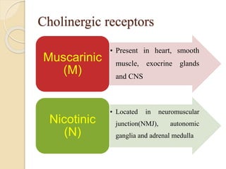 Autonomic nervous system and cholinomimetics | PPTX