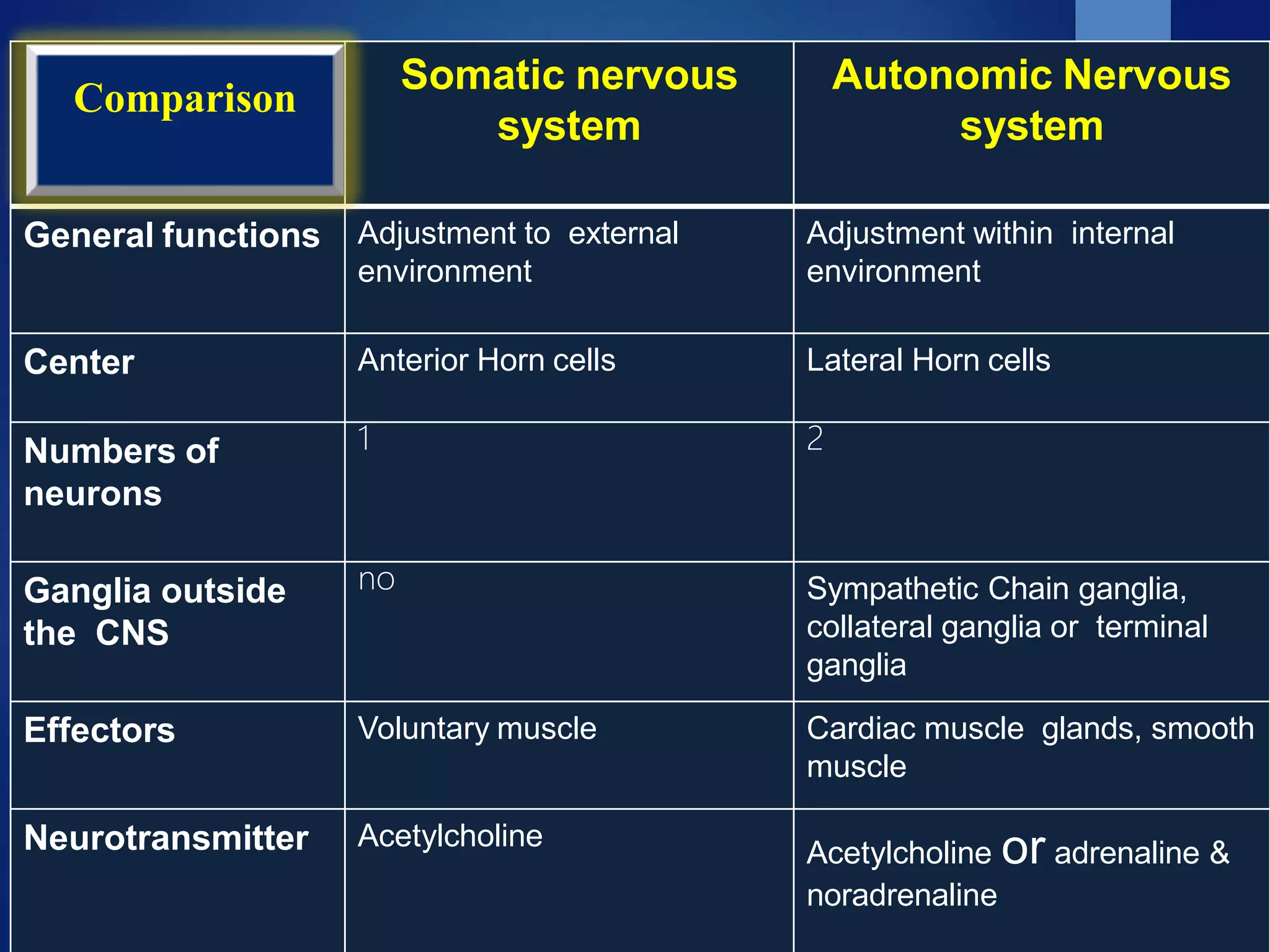 Autonomic nervous system | PPTX