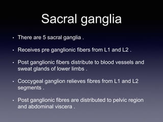 Autonomic nervous system | PPT