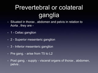 Autonomic nervous system | PPT