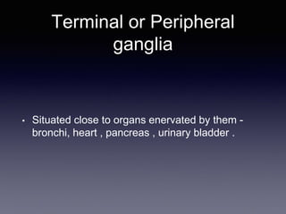 Autonomic nervous system | PPT