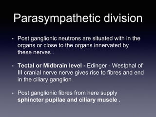 Autonomic nervous system | PPTX