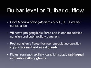 Autonomic nervous system | PPT