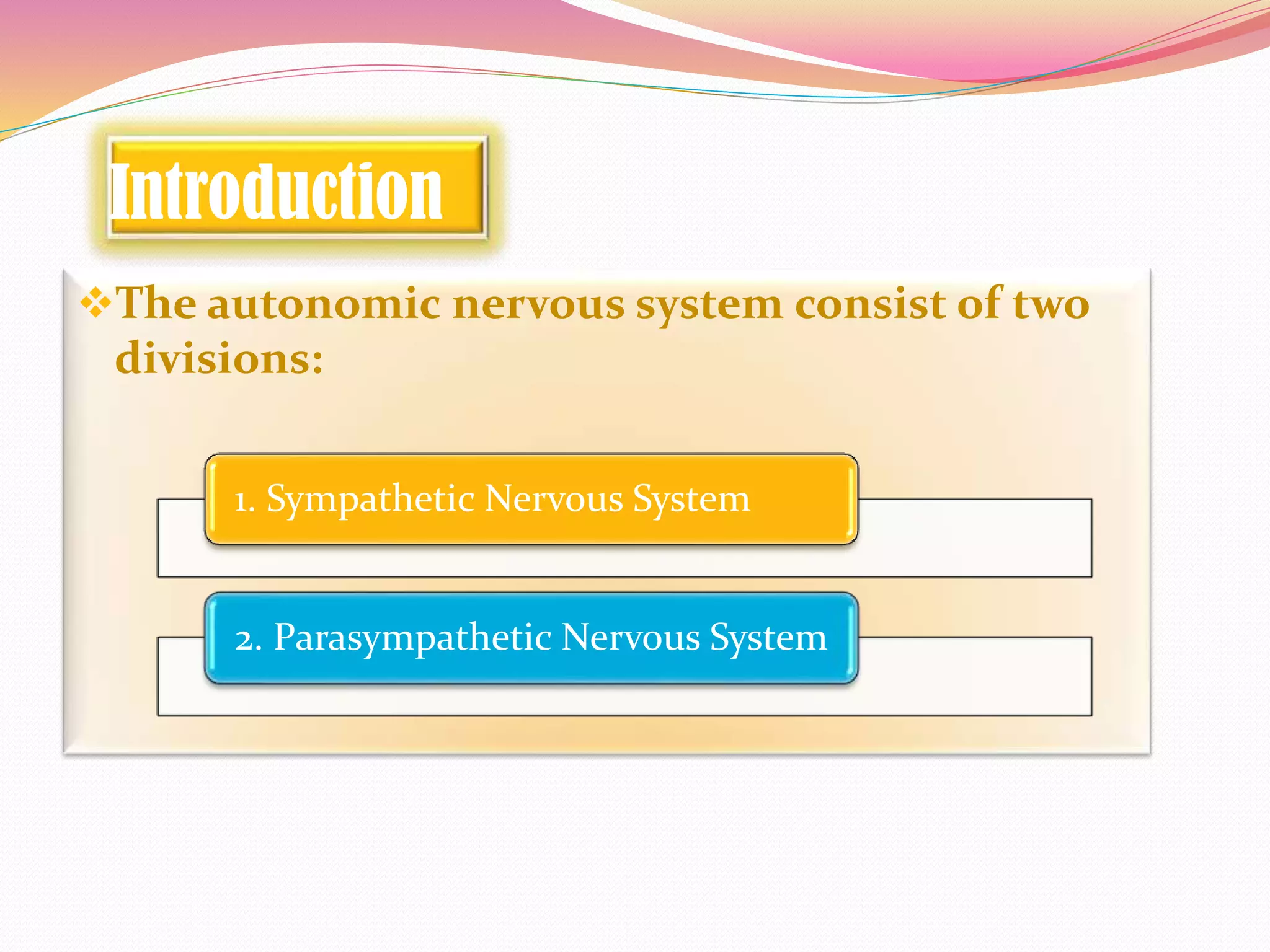 Autonomic Nervous System (ANS) | PDF