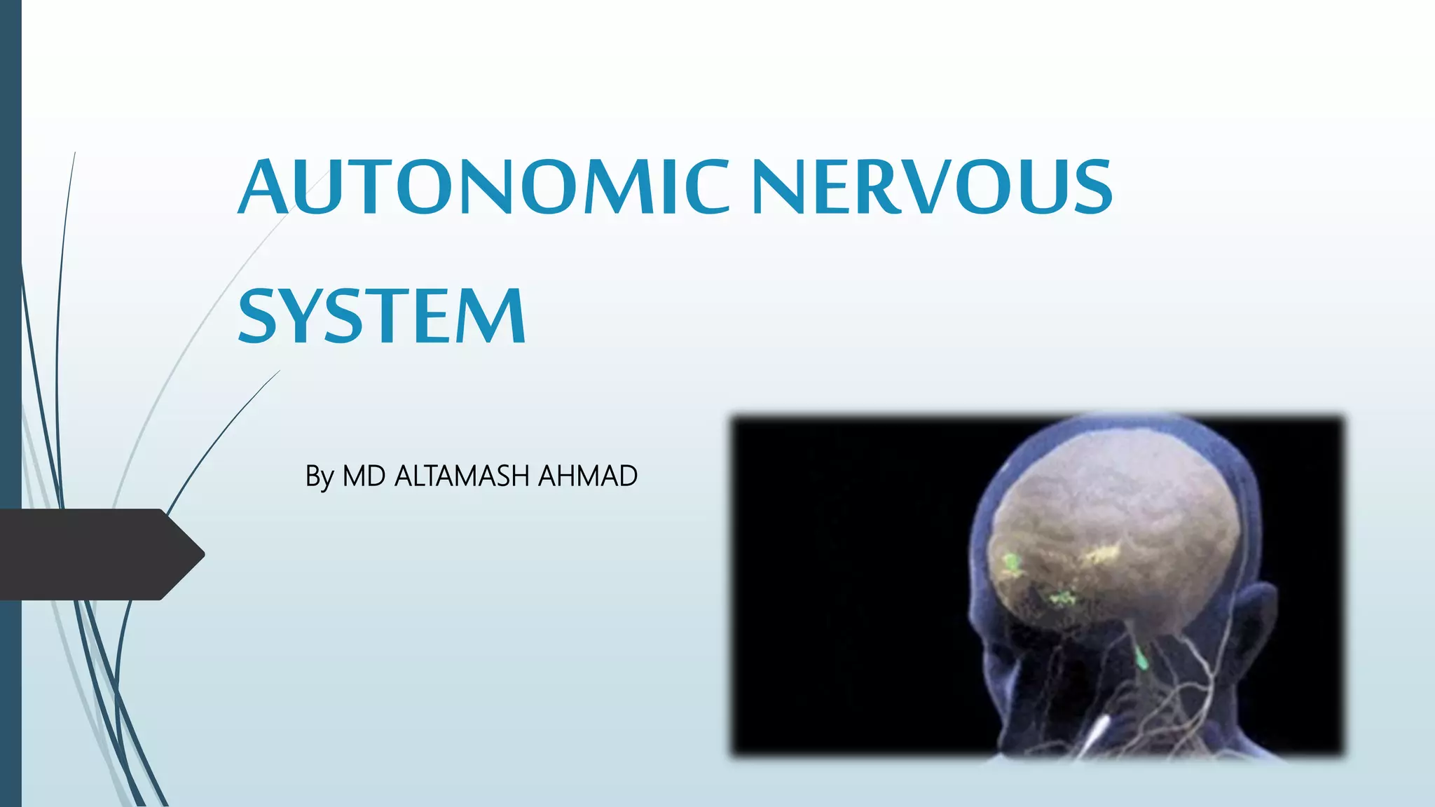 Autonomic nervous system | PPTX
