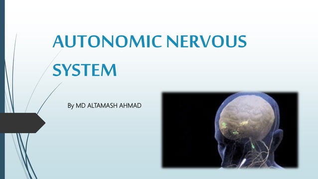 Autonomic nervous system | PPT