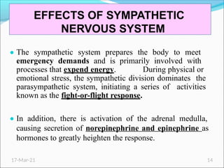 autonomicnervoussystem-210513091853.pptx