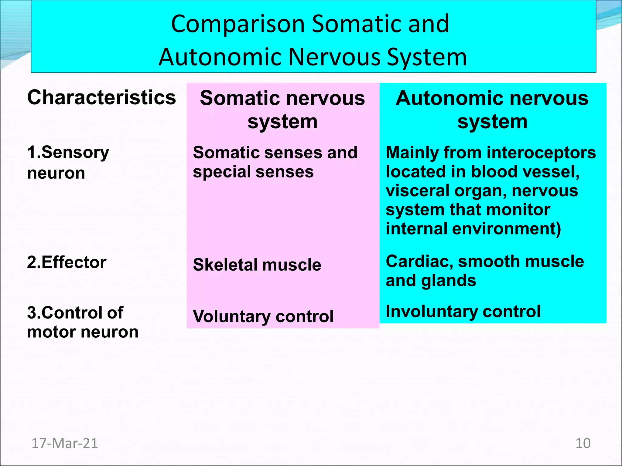 Autonomic nervous system | PPTX