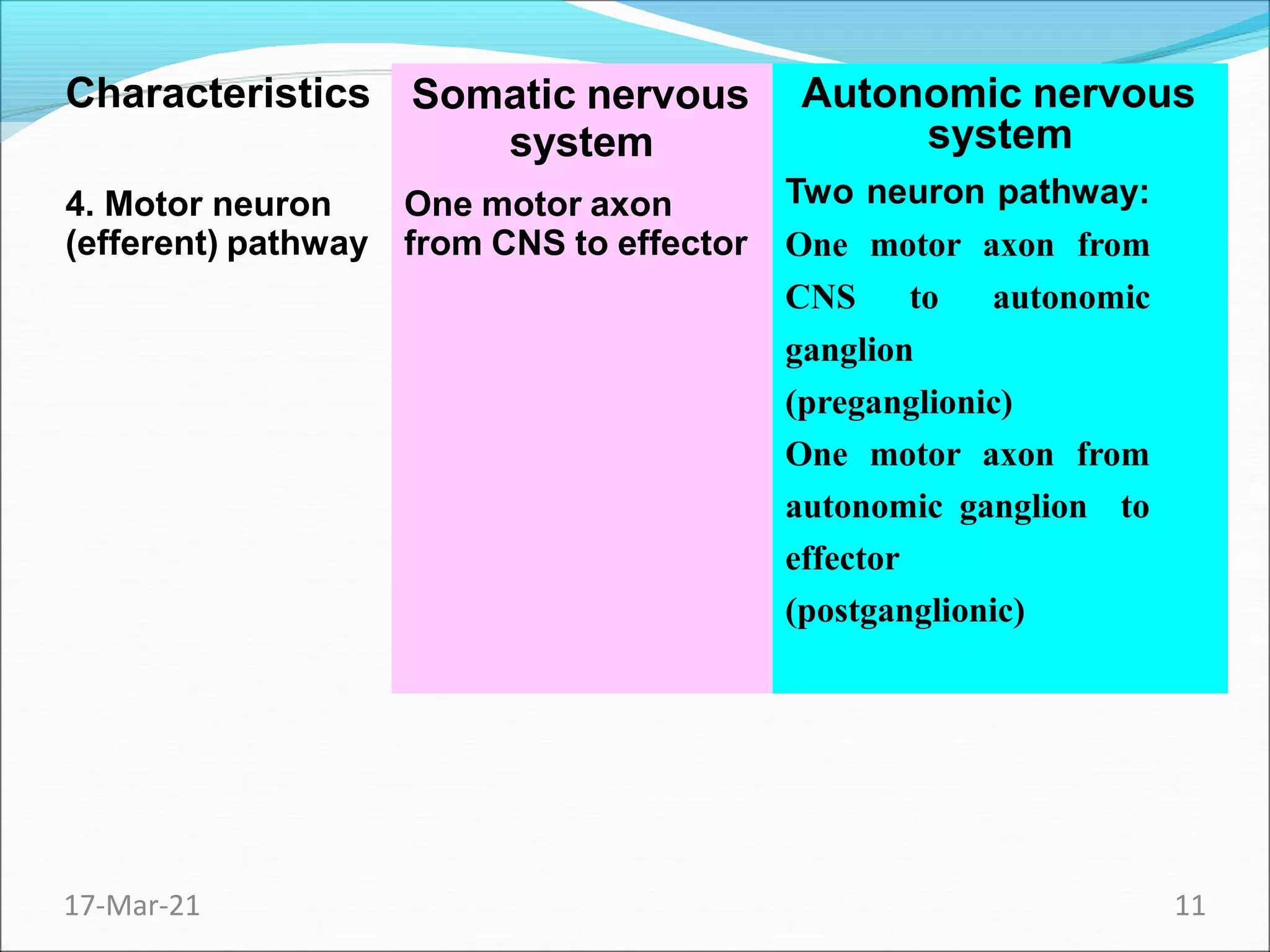 Autonomic nervous system | PPTX