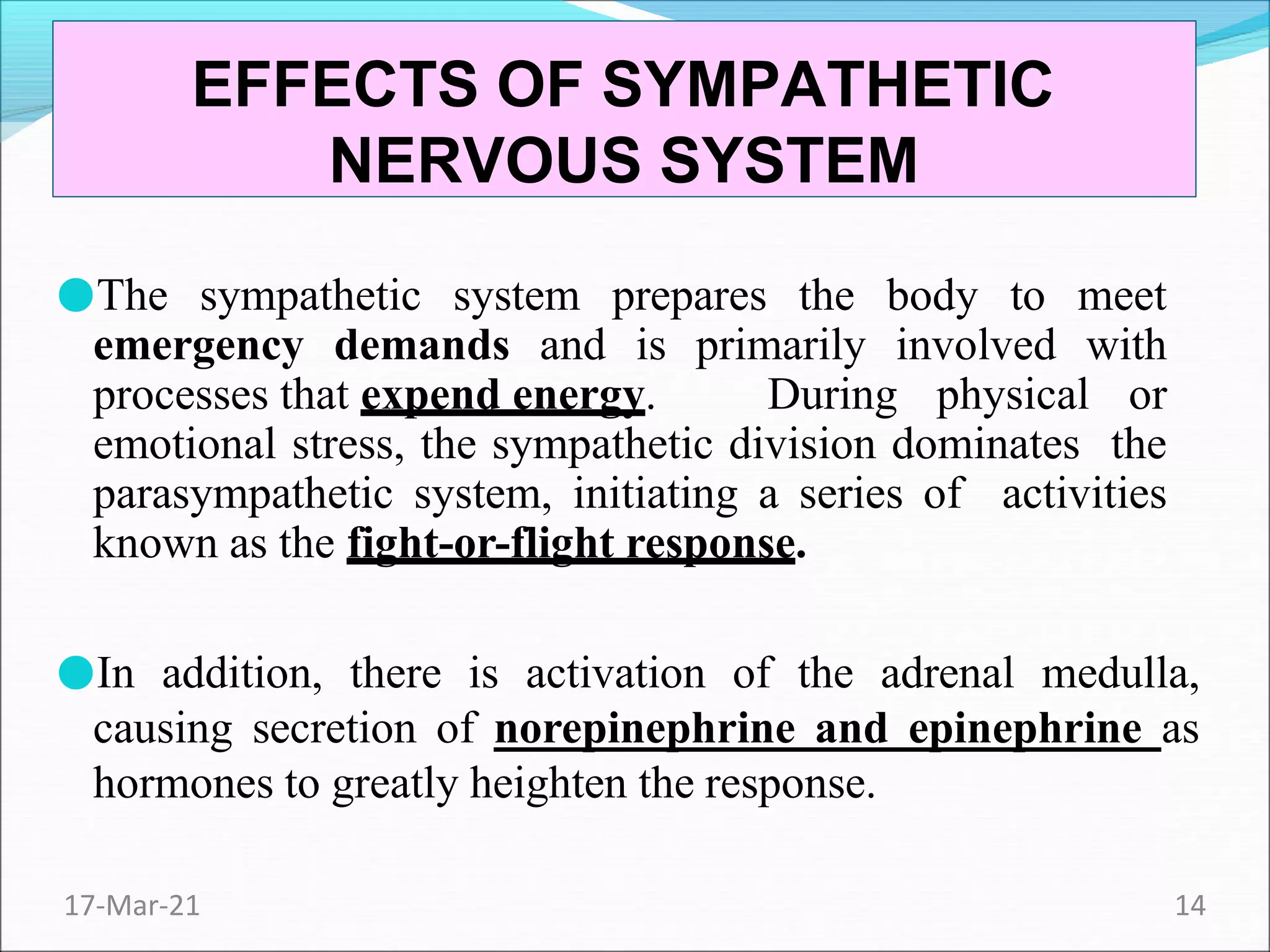 Autonomic nervous system | PPTX