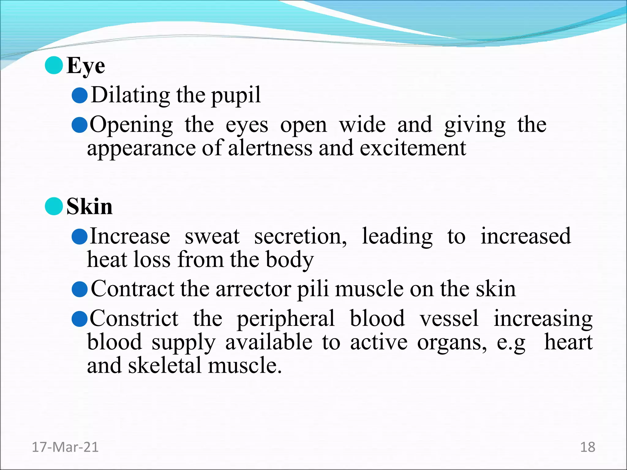 Autonomic nervous system | PPTX