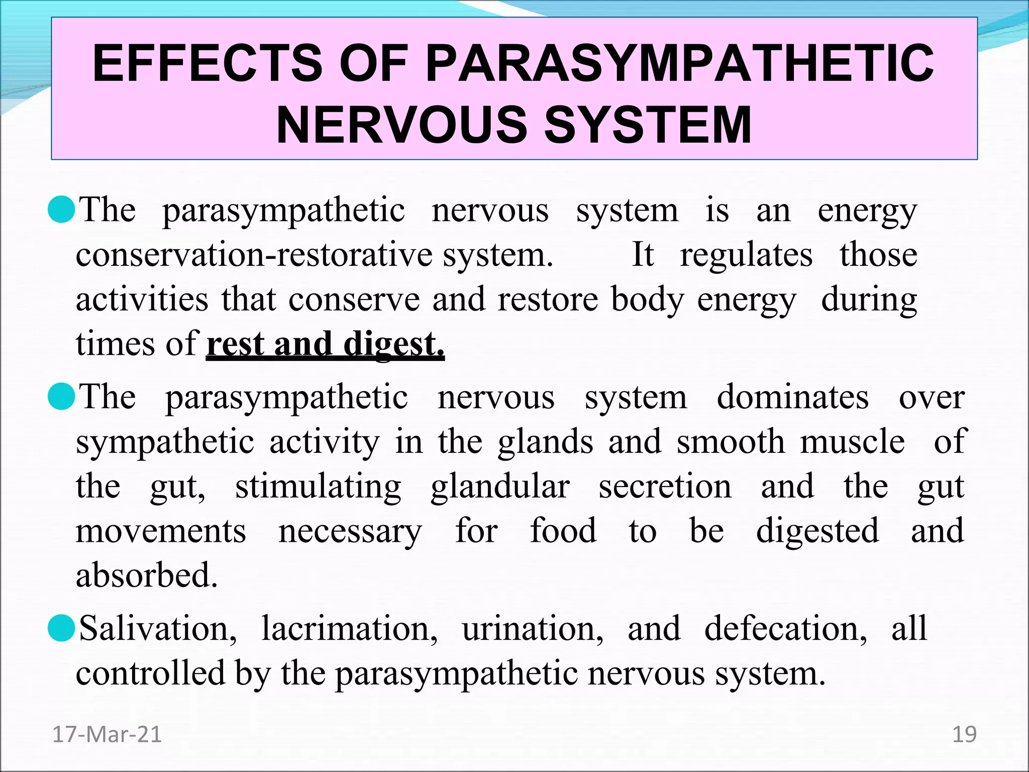 Autonomic nervous system | PPTX
