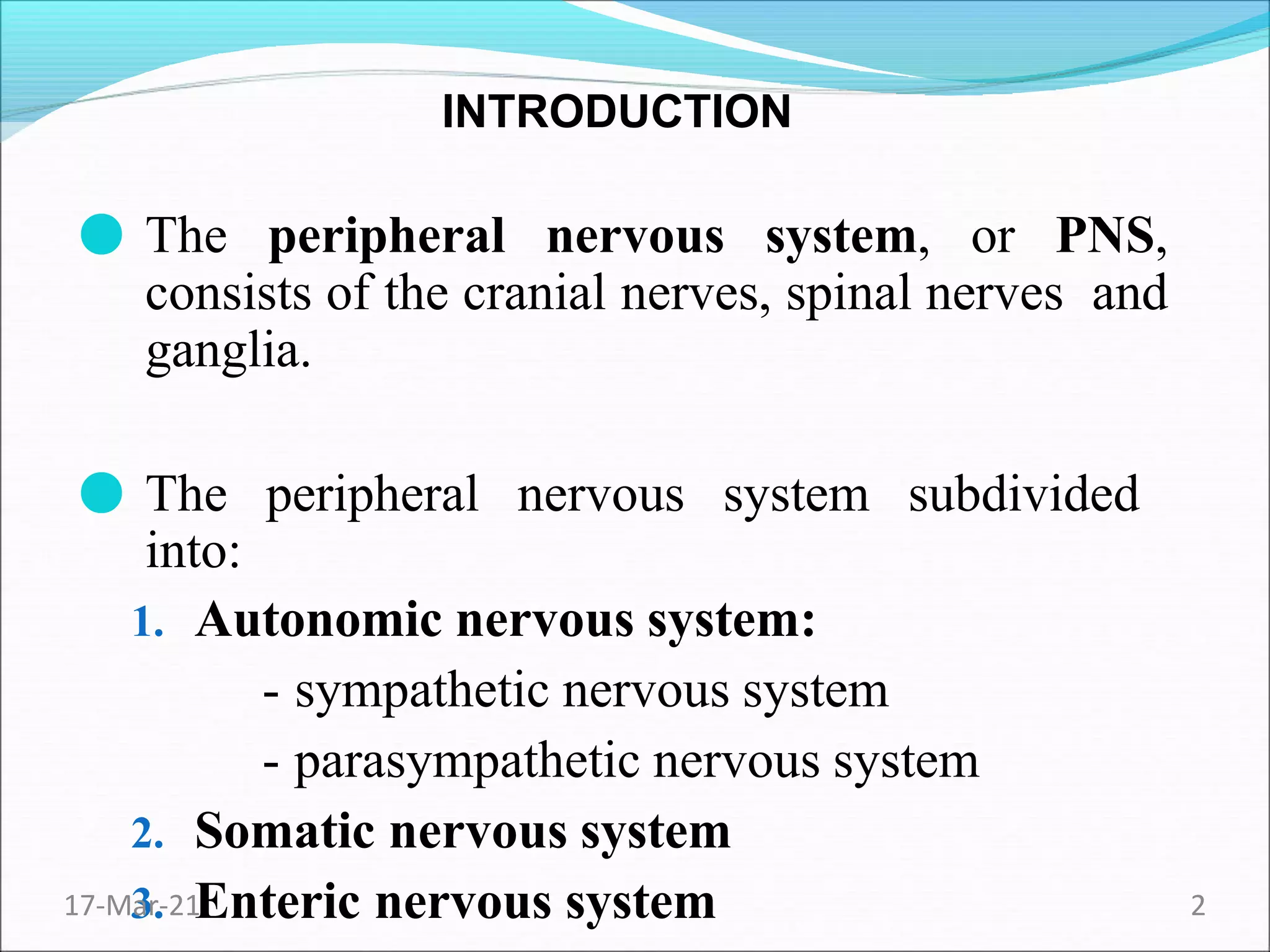 Autonomic nervous system | PPTX