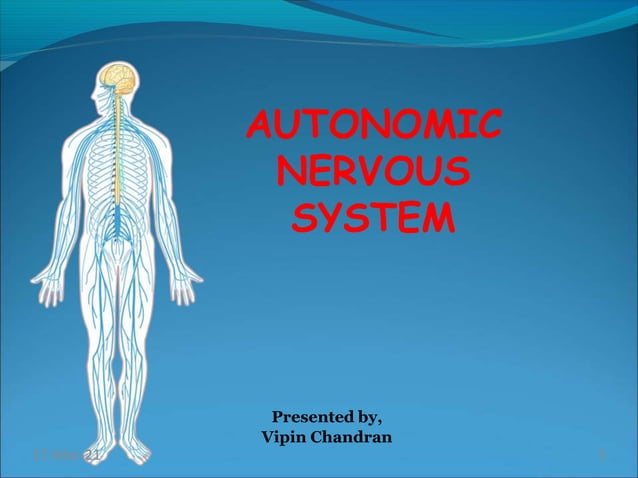 Autonomic nervous system | PPTX