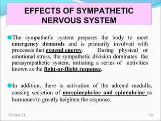 Autonomic nervous system | PPTX
