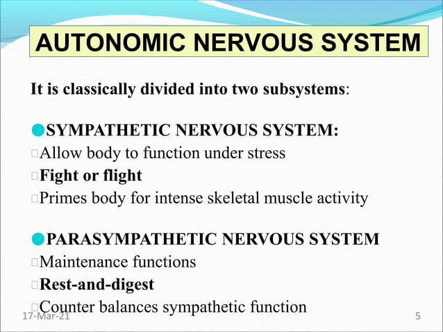 Autonomic nervous system | PPTX