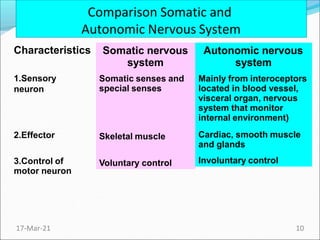 Somatic And Autonomic Nervous System Comparison