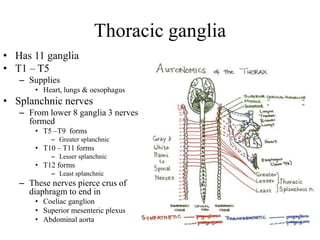 Autonomic nervous system | PPT