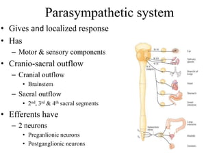 Autonomic nervous system | PDF