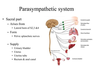 Autonomic nervous system | PDF